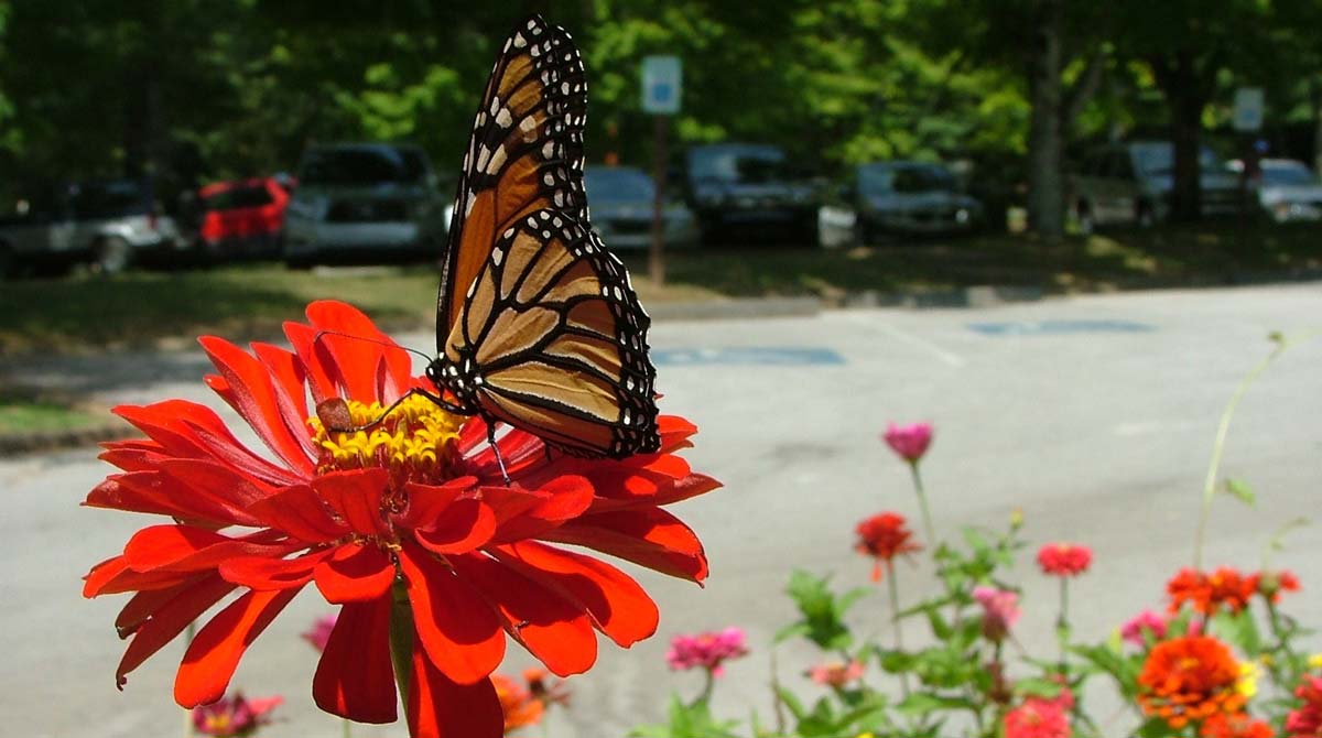 How fee-based planning revived my practice - MDRT Blog