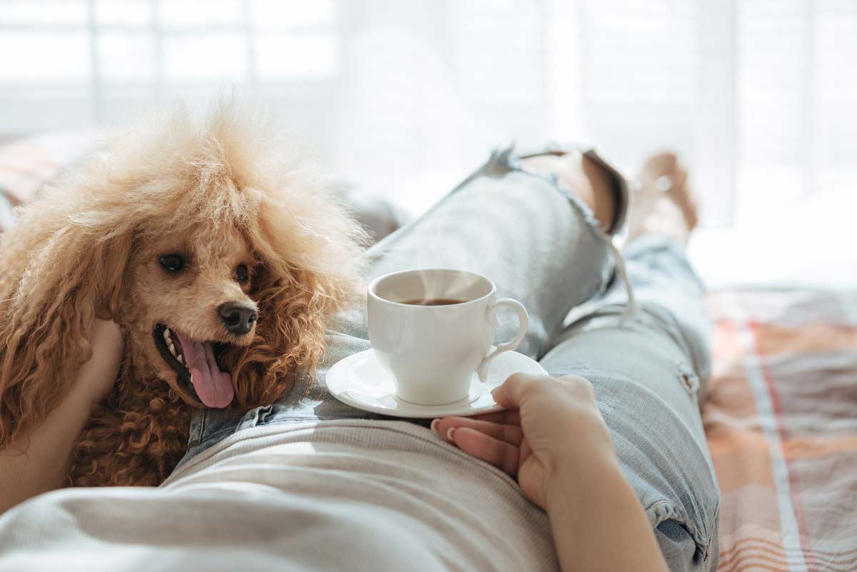 What to do when a client’s dog drinks your tea - MDRT Blog